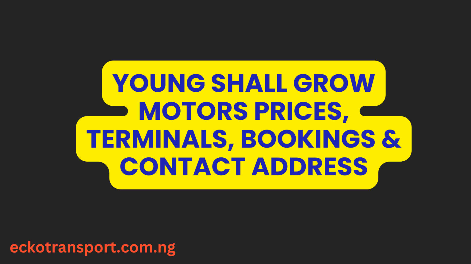 Young Shall Grow Motors (YSG): Prices, Terminals, Bookings & Contact ...